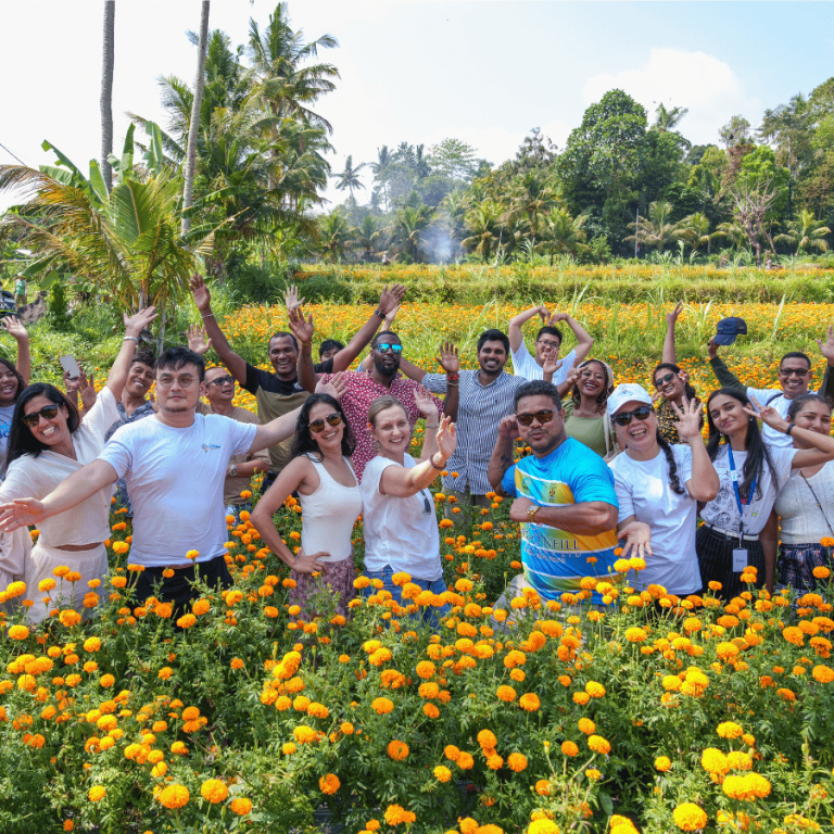 Services – Precious Island